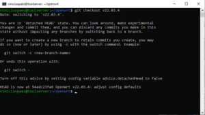 How to build a custom OpenWRT image for Raspberry Pi Router | Vinicius Paes
