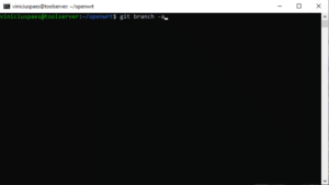 How to build a custom OpenWRT image for Raspberry Pi Router | Vinicius Paes