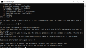 Tutorial criar servidor OpenVPN e conectar com VPN grátis | Vinicius Paes