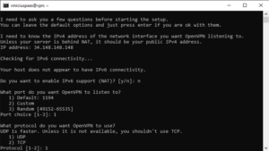 Tutorial criar servidor OpenVPN e conectar com VPN grátis | Vinicius Paes