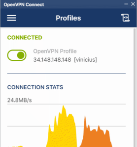 Tutorial criar servidor OpenVPN e conectar com VPN grátis | Vinicius Paes