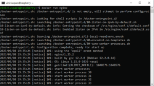 Tutorial como instalar Docker no Raspberry Pi | Vinicius Paes