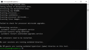 Tutorial como instalar Docker no Raspberry Pi | Vinicius Paes